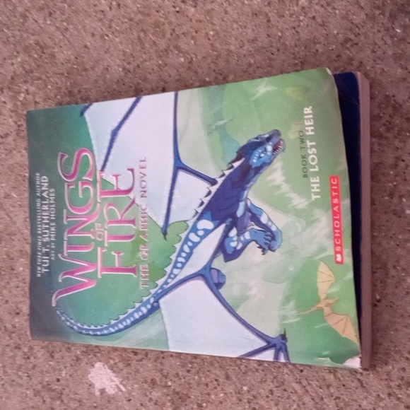 Other | Wings Of Fire Book 2 The Lost Heir | Poshmark